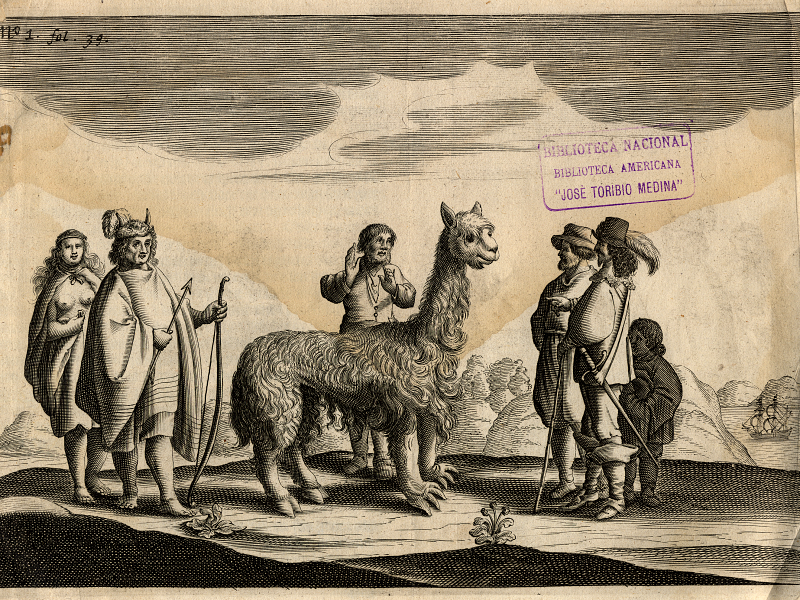 "Mito, el llamito", pariente de antiguos habitantes del territorio ...